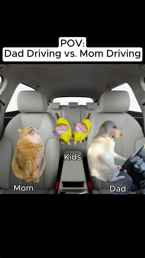 Meme Meow Dad Driving Vs Mom Driving 👨👩🚗 Cat Memes Catmemes