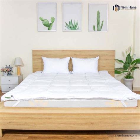 Chọn Giấc Ngủ Trong Lành Với Topper Tatana