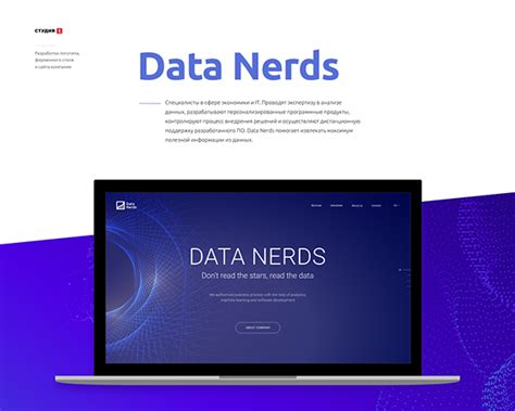 Data Nerds Behance