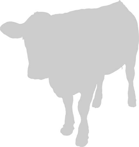 Cow 36630149 Vector Art At Vecteezy