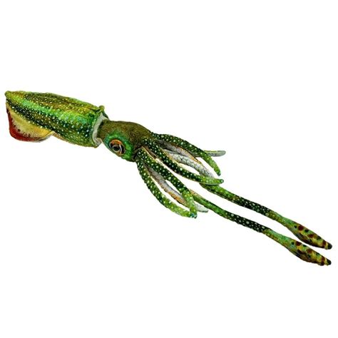 Plush Cuttlefish