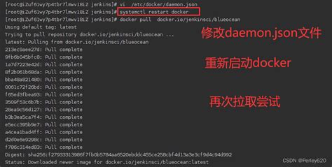 Jenkins Docker Jenkins Mvnjdk Docker Jenkins Jdk Csdn