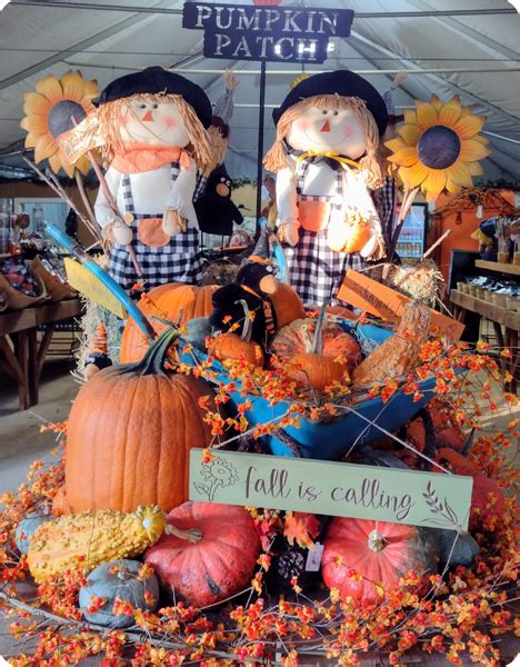 Join Us Live Oak Canyon Pumpkin Patch And Christmas Tree Farm Redlands Ca