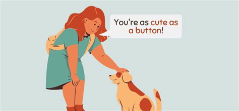 Cute As A Button Origin And Meaning