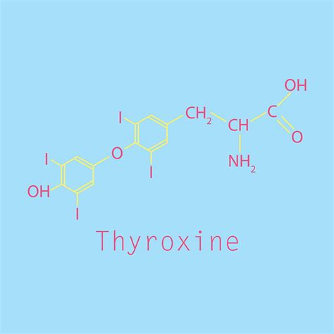 Thyroxine T4 Levothyroxine Thyroid Hormone Vector Eps Ai Uidownload