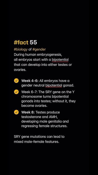 Bipotential Gender Development Path Biology Youtube
