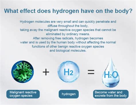 Pem Electrolyzer Electrolysis Water To Hydrogen Suction Machine