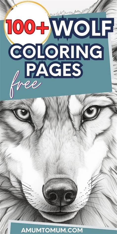 Animal Coloring Pages Wolf Free Printables Wolf Coloring Pages