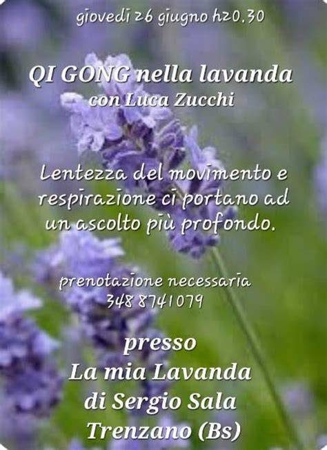 Lavanda Esperienze Essenziali