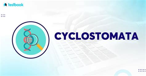 Cyclostomata Characteristics Sub Divisions And More