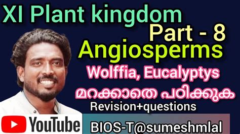 Xi Plant Kingdom Part 8 Angiosperms Youtube