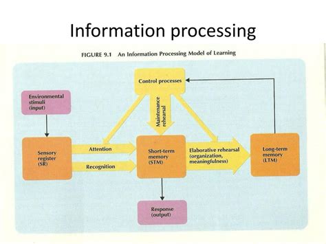 Ppt Learning And Information Processing Powerpoint Presentation Free