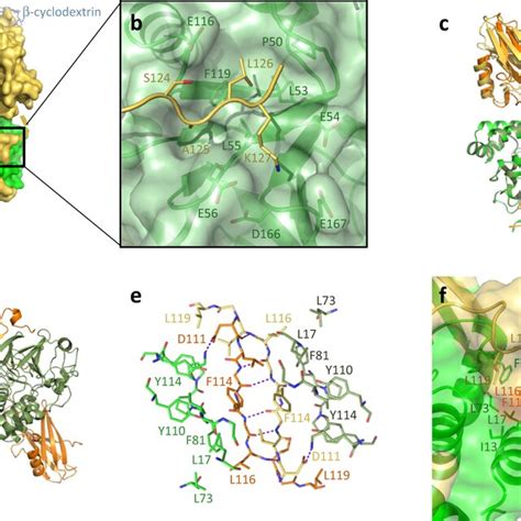 Comparison Of Pp1 Complexes A Superposition Of Pp1 Green In Complex
