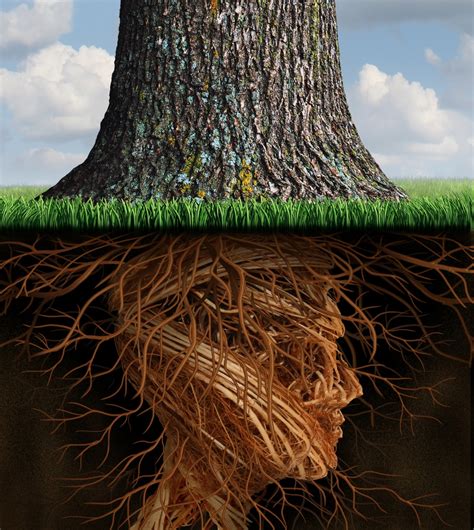 The Flesh The Root Of The Problem Robinson Grace Church