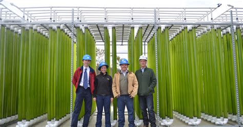 Caer Scientists Duke Energy Demonstrate Algae Based Carbon Capture