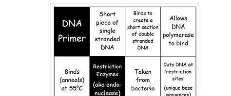 Genetic Profiling And Entomology Techniques Comparison Matching Cards
