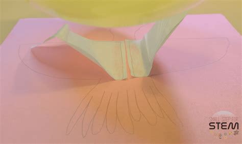 Make A Bird Fly With Static Electricity Make A Bird Fly With Static Electricity