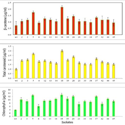 D Salina Ku 11 Cells Grown In Liquid Modified Johnsons Medium