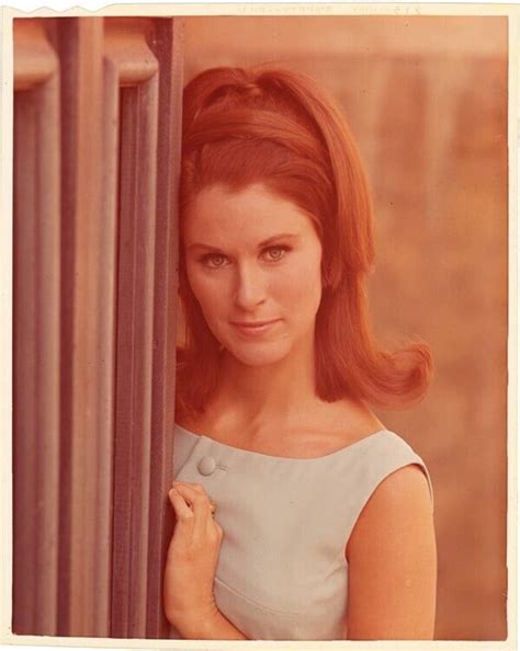 Susan Clark Photo Shoot 1970 Colossus Forbin Project Original 5x4