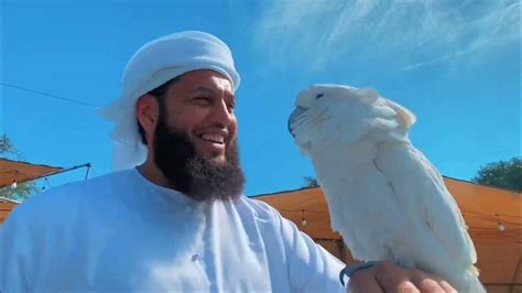 انطلاق فعاليات مهرجان ⁧‫واديمدحاء‬⁩ محافظة مسندم Youtube