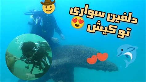 دلفین سواری دولا دولا نمیشه 😂 Youtube