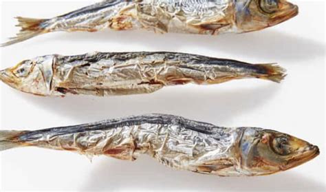 Pilchards Dr Louisa Fenny