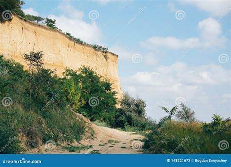 Beautiful Sandy Cliff With Grass And Trees On Background Of Blue Sky