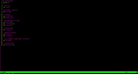 Linux Vim编辑器最简美化配置vim美化 Csdn博客