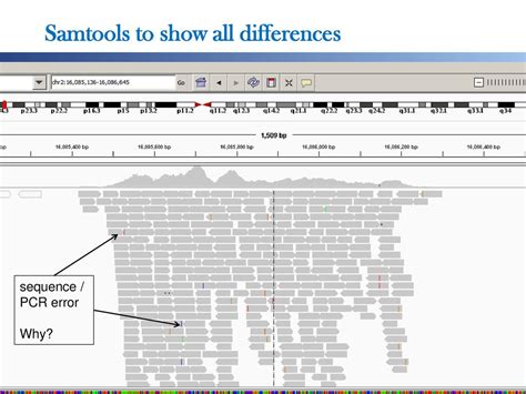 Prof Dr Antoine Van Kampen Bioinformatics Laboratory Ppt Download
