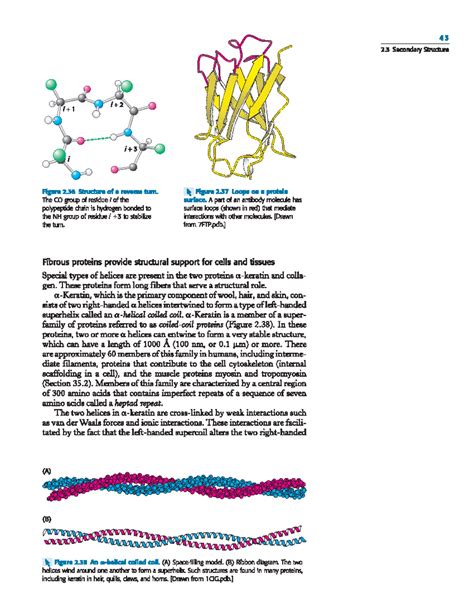 Pages 77 79 Stryer 7th Edition Collagen חלבונים עמודי קריאה 2021