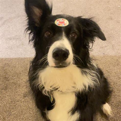 Cute Skeleton Ghosts Keychains Etsy