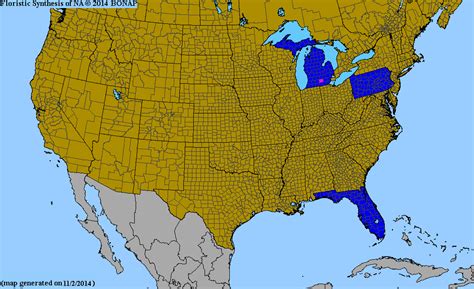 2013 Bonap North American Plant Atlas Taxonmaps
