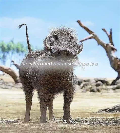 Part 6 The Lion King 2019 Hakuna Matata Begins Youtube