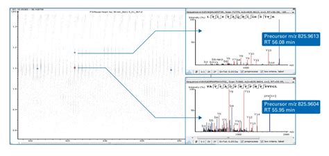 Protein Characterization Bruker