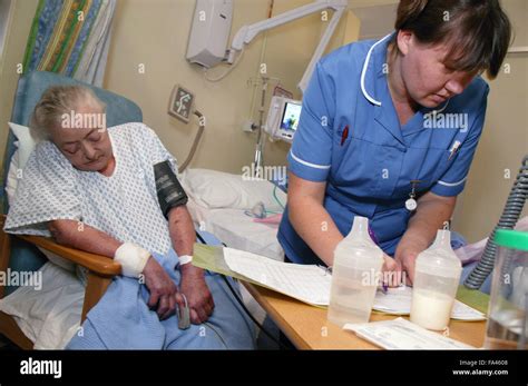Staff Nurse Assessing Elderly Patient On General Medical Ward Stock