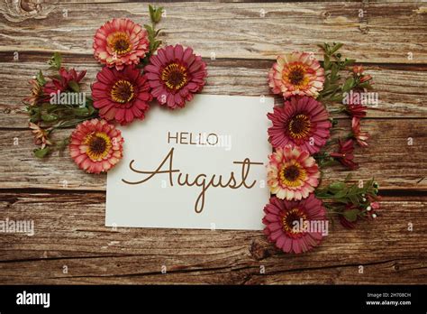 Hello August Photography 13 Thousand Hello August Royalty Free