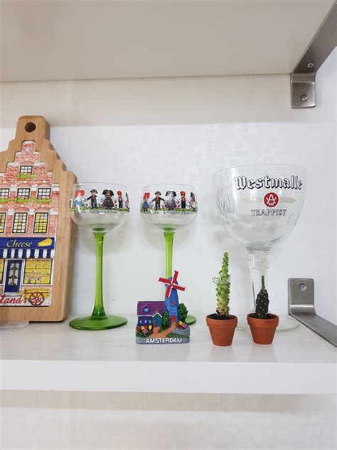 미니 선인장 화분 물주는 시기 및 아기있는집 식물추천 네이버 블로그