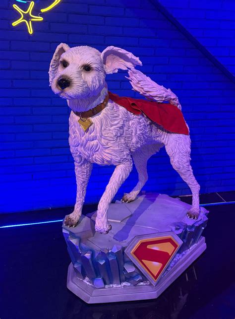 Get A Close Up Look At Supergirls Costume From The 2026 Dc Movie Starring Milly Alcock