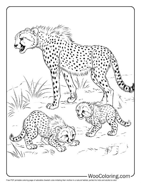 100 Cheetah Coloring Pages Free Pdf To Print Woo Coloring