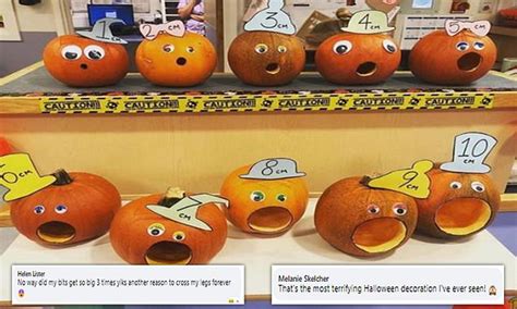 Midwives Carve Dilation Measurements Into Pumpkins Daily Mail Online