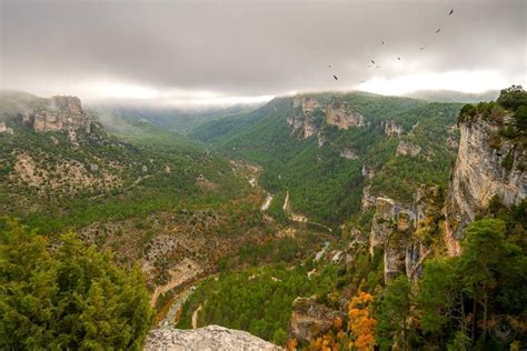 Parque Natural Del Alto Tajo Rutas Qué Ver 2026