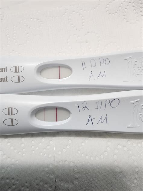 Frer 10 13 Dpiui Progression Tw Previous Loss In Comments R Tfablineporn