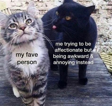50 Spot On Introvert Memes Shared By This Popular Instagram Account