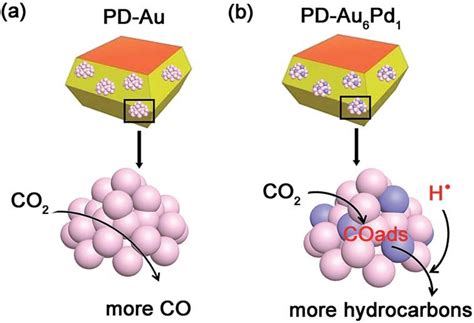 A Schematic Illustration Of The Product Distribution On Pd Au And Pd Au Download Scientific