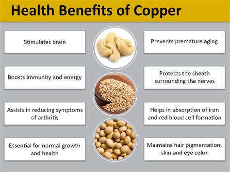 How Does Copper Help In The Proper Functioning Of Thyroid Gland