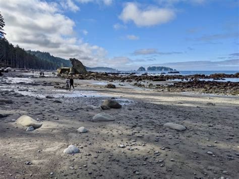 Rialto Beach On The Wild Coast Of Washingtons Olympic National Park