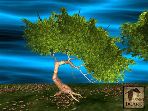Second Life Marketplace Rh As Full Perm Sculpt Windblown Tree Set