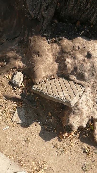 Baumstein 😂😂😂 Youtube