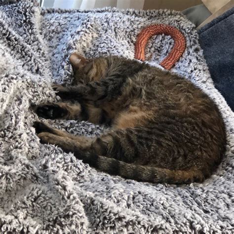 Marz Energy Tools Transform Negative Energy Into Positive Energy With