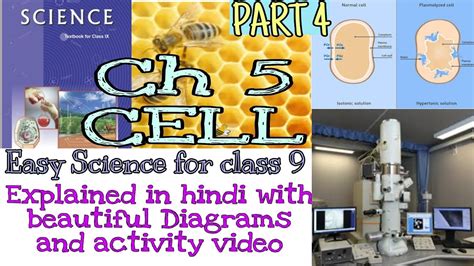 Cbse Ncert Class 9 Science Chapter 5 Part 4 Cell Cell Wall Plasmolysis Explained In By Hemant